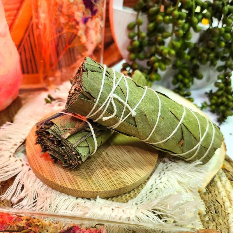 Fagot Eucalyptus - Kurious Apprentice