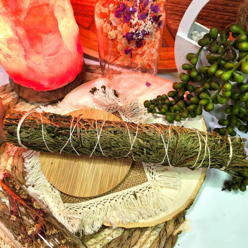 Fagot de Cèdre 22cm - Kurious Apprentice