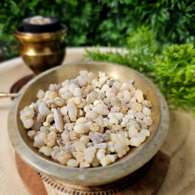 Encens Oliban - Kurious Apprentice