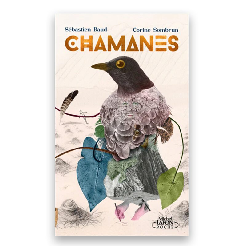 Chamanes - Kurious Apprentice